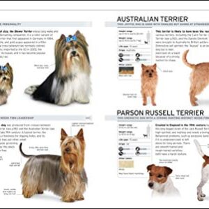 The Complete Dog Breed Book, New Edition (DK Definitive Pet Breed Guides)