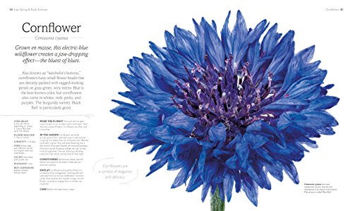 The Flower Book: Let the Beauty of Each Bloom Speak for Itself