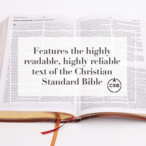 CSB Everyday Study Bible, British Tan LeatherTouch, Black Letter, Study Notes, Illustrations, Aricles, Easy-to-Carry, Easy-to-Read Bible Serif Type