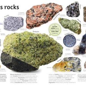 The Rock and Gem Book: And Other Treasures of the Natural World (DK Our World in Pictures)