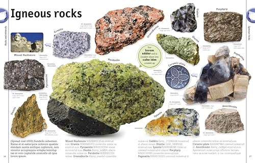 The Rock and Gem Book: And Other Treasures of the Natural World (DK Our World in Pictures)