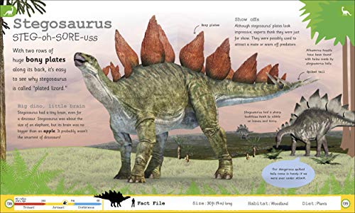 My Encyclopedia of Very Important Dinosaurs: Discover more than 80 Prehistoric Creatures (My Very Important Encyclopedias)