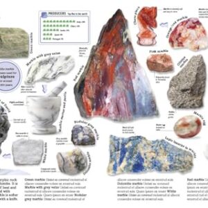 The Rock and Gem Book: And Other Treasures of the Natural World (DK Our World in Pictures)