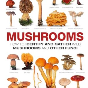 Mushrooms: How to Identify and Gather Wild Mushrooms and Other Fungi