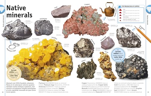 The Rock and Gem Book: And Other Treasures of the Natural World (DK Our World in Pictures)