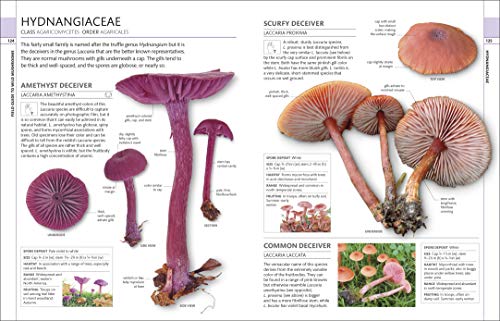 Mushrooms: How to Identify and Gather Wild Mushrooms and Other Fungi