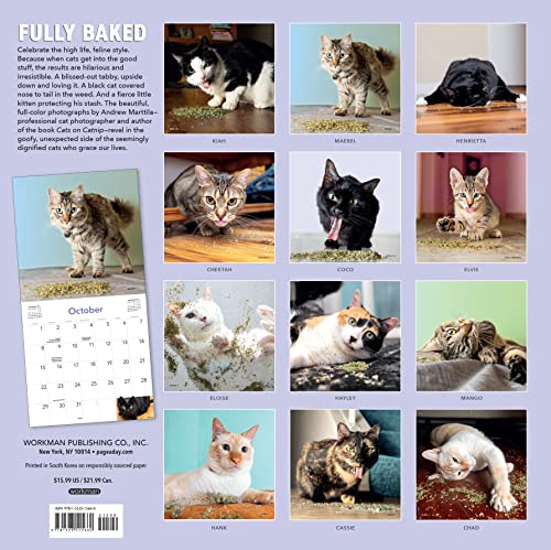 Cats on Catnip Wall Calendar 2023: A Year of Cats Living the High Life and Feeling Niiiiice