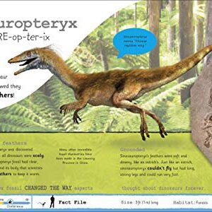 My Encyclopedia of Very Important Dinosaurs: Discover more than 80 Prehistoric Creatures (My Very Important Encyclopedias)