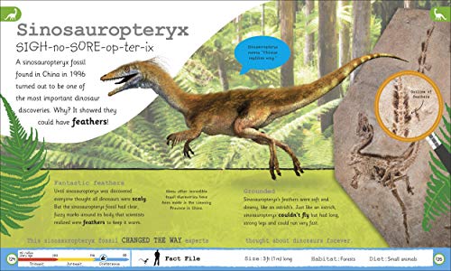 My Encyclopedia of Very Important Dinosaurs: Discover more than 80 Prehistoric Creatures (My Very Important Encyclopedias)