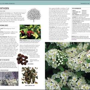 Herbal Remedies Handbook: More Than 140 Plant Profiles; Remedies for Over 50 Common Conditions