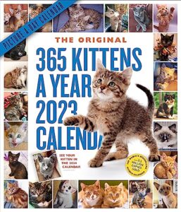 365 kittens-a-year picture-a-day wall calendar 2023: absolutely spilling over with kittens