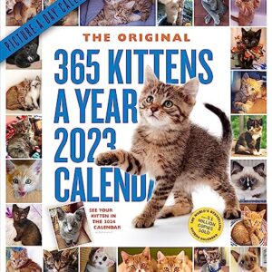 365 Kittens-A-Year Picture-A-Day Wall Calendar 2023: Absolutely Spilling Over With Kittens