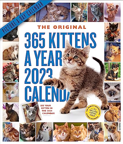 365 Kittens-A-Year Picture-A-Day Wall Calendar 2023: Absolutely Spilling Over With Kittens