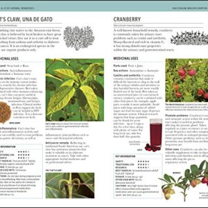 Herbal Remedies Handbook: More Than 140 Plant Profiles; Remedies for Over 50 Common Conditions