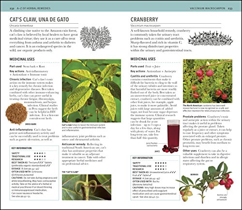 Herbal Remedies Handbook: More Than 140 Plant Profiles; Remedies for Over 50 Common Conditions