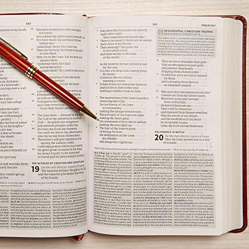 CSB Everyday Study Bible, British Tan LeatherTouch, Black Letter, Study Notes, Illustrations, Aricles, Easy-to-Carry, Easy-to-Read Bible Serif Type