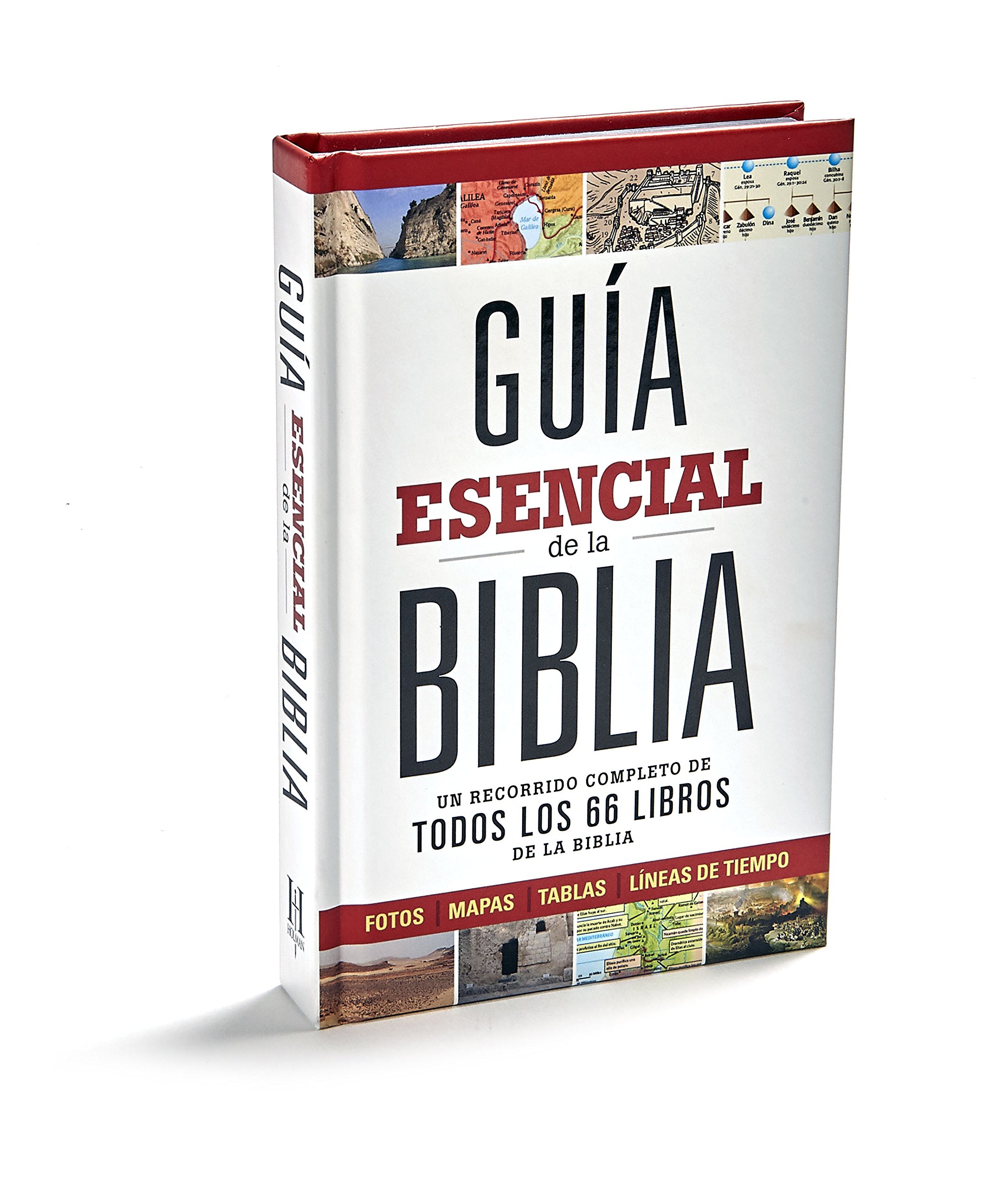 Guía esencial de la Biblia | Ultimate Bible Guide (Spanish Edition)