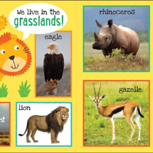 My First 101 ANIMALS Padded Board Book