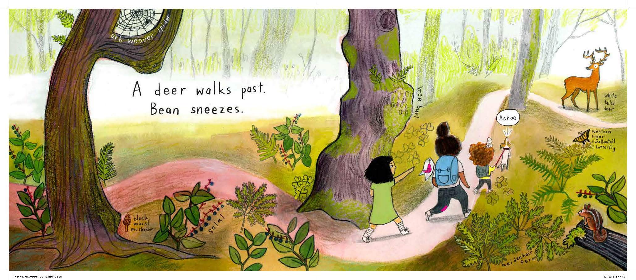 The Hike: (Nature Book for Kids, Outdoors-Themed Picture Book for Preschoolers and Kindergarteners)