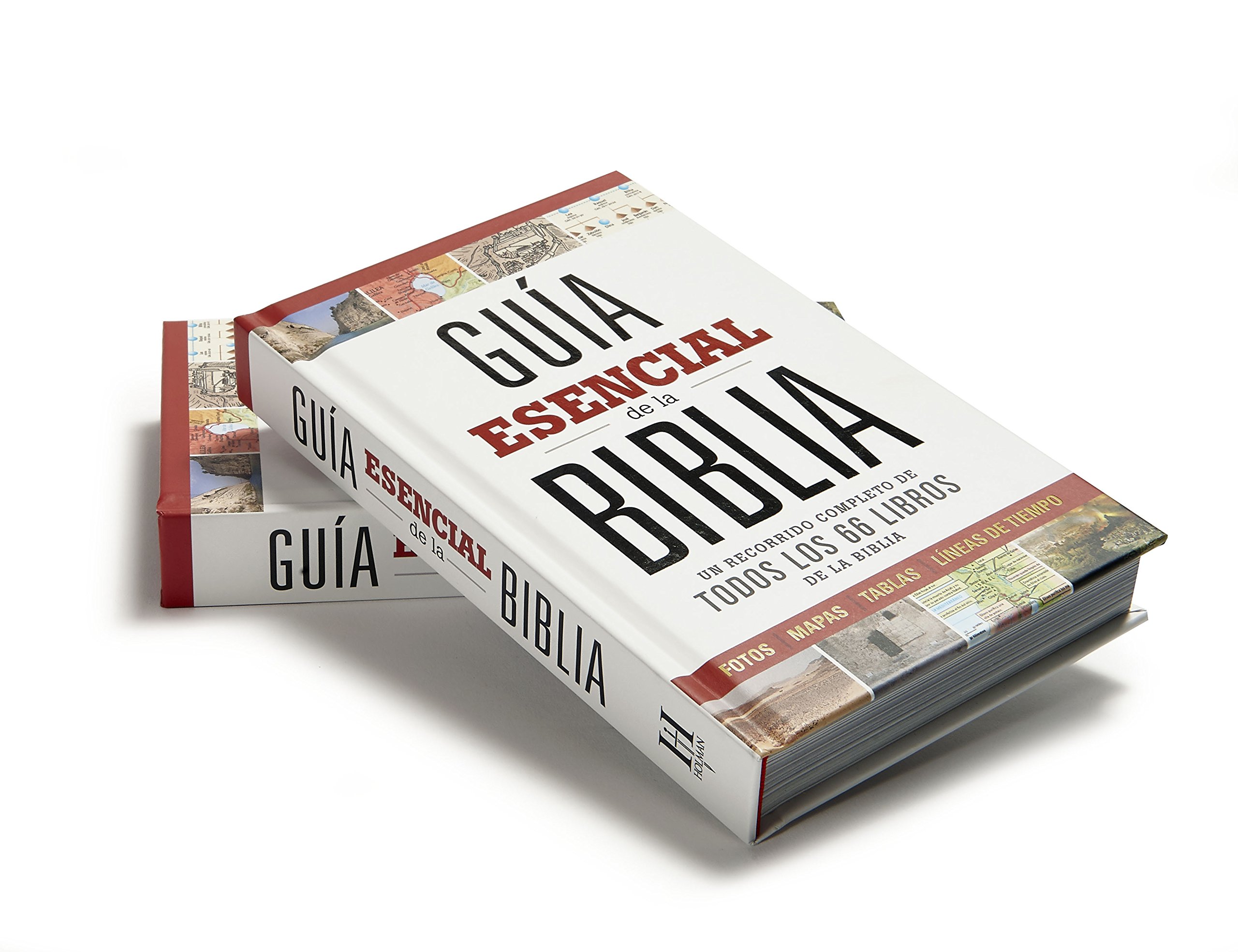 Guía esencial de la Biblia | Ultimate Bible Guide (Spanish Edition)