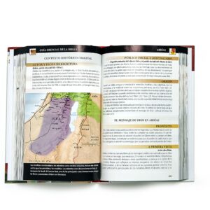 Guía esencial de la Biblia | Ultimate Bible Guide (Spanish Edition)