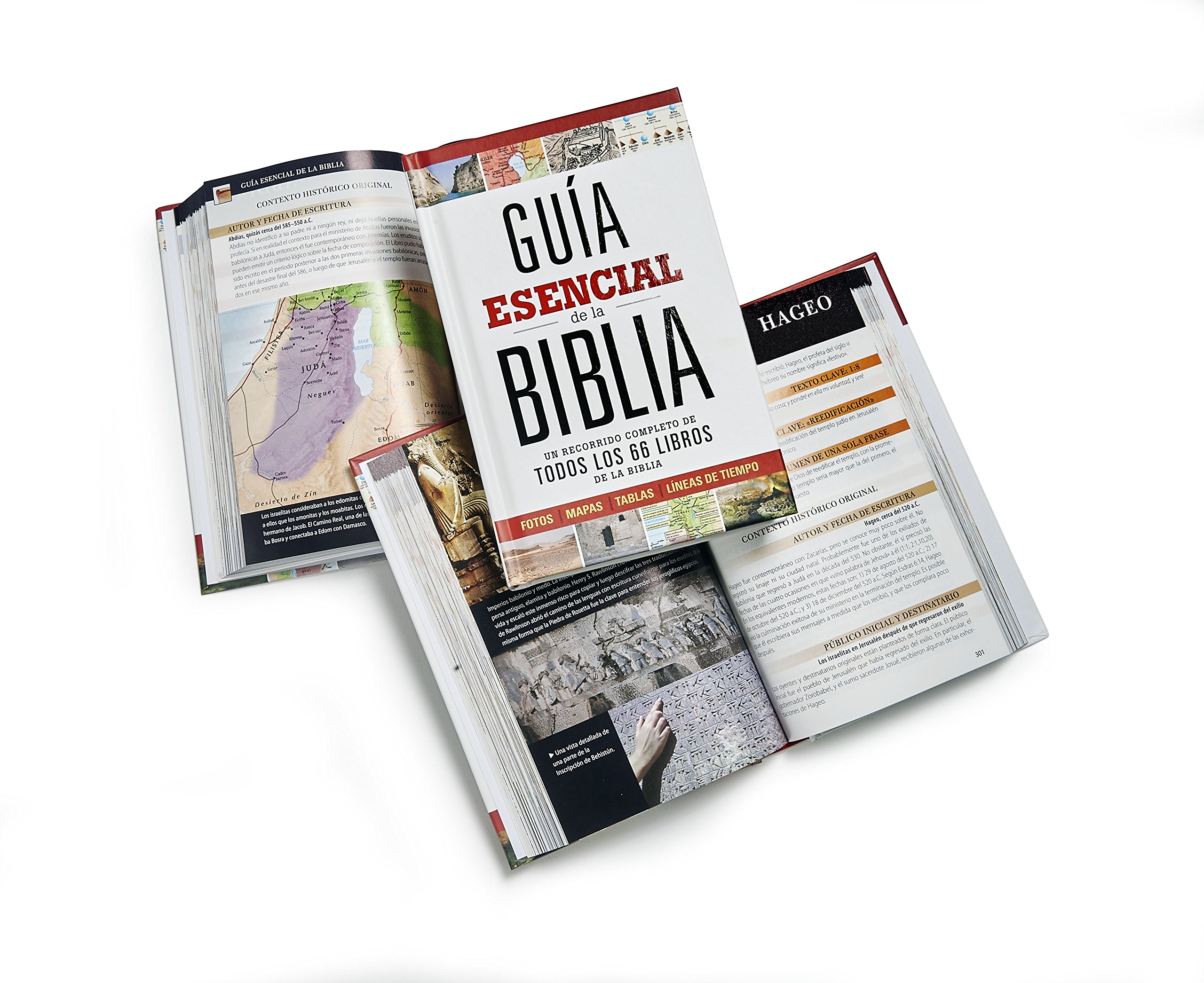 Guía esencial de la Biblia | Ultimate Bible Guide (Spanish Edition)