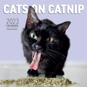 cats on catnip wall calendar 2023: a year of cats living the high life and feeling niiiiice