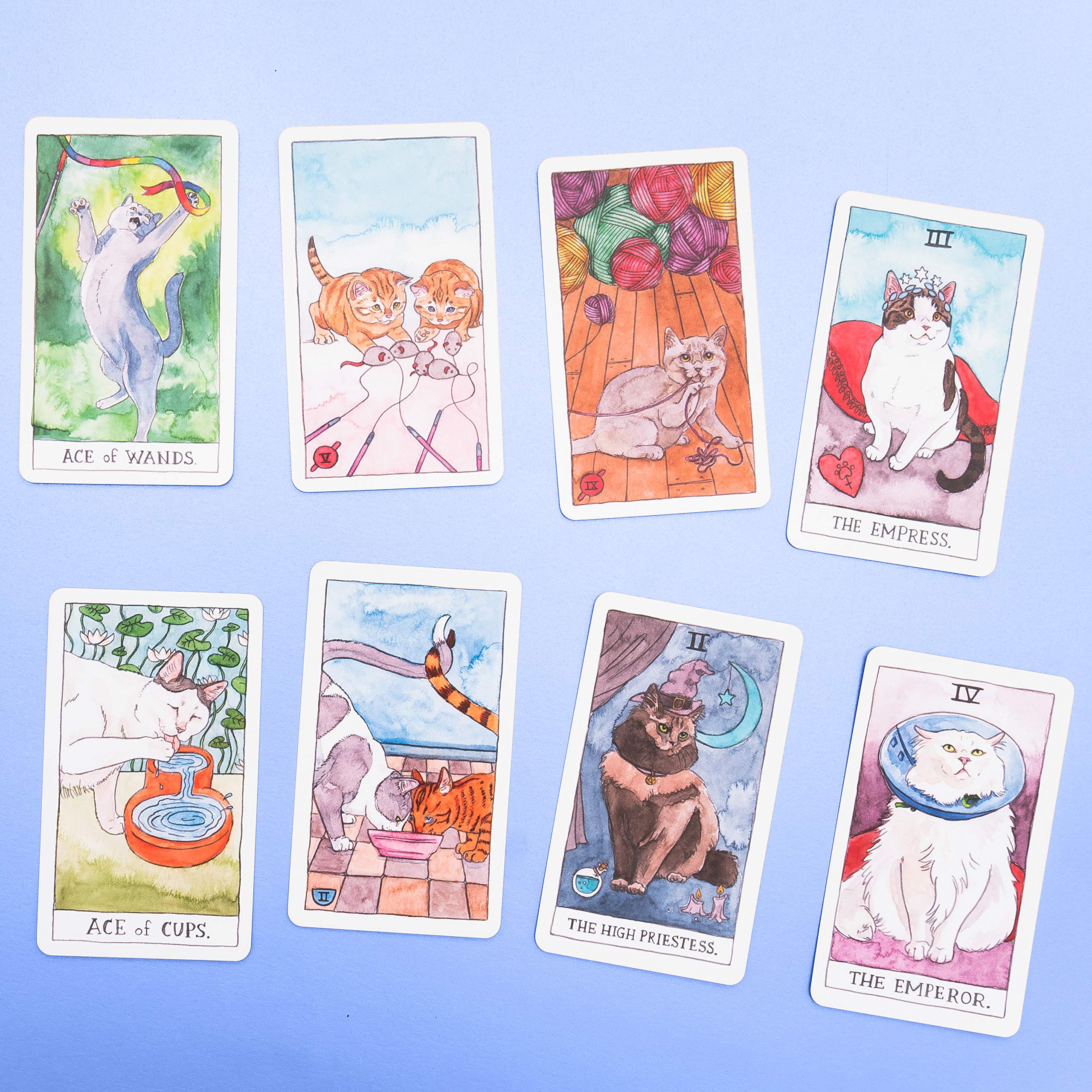 Cat Tarot: 78 Cards & Guidebook (-)