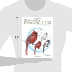 The Laws Guide to Drawing Birds