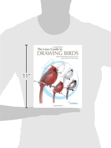 The Laws Guide to Drawing Birds