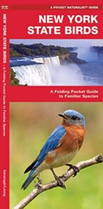 new york state birds: a folding pocket guide to familiar species (nature observation north america)