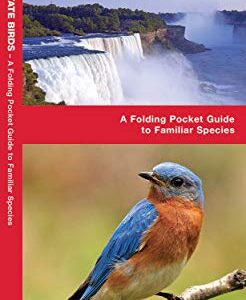 New York State Birds: A Folding Pocket Guide to Familiar Species (Nature Observation North America)