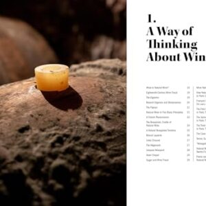 The World of Natural Wine: What It Is, Who Makes It, and Why It Matters