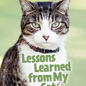 Chicken Soup for the Soul: Lessons Learned from My Cat