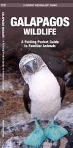 galapagos wildlife: a folding pocket guide to familiar animals (nature observation international)