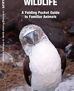 Galapagos Wildlife: A Folding Pocket Guide to Familiar Animals (Nature Observation International)