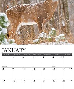 Whitetail Monarchs 2023 Wall Calendar