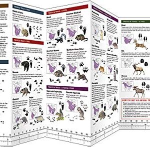 Animal Tracking: A Folding Guide to Animal Tracking & Behavior (Outdoor Recreation and Survival)