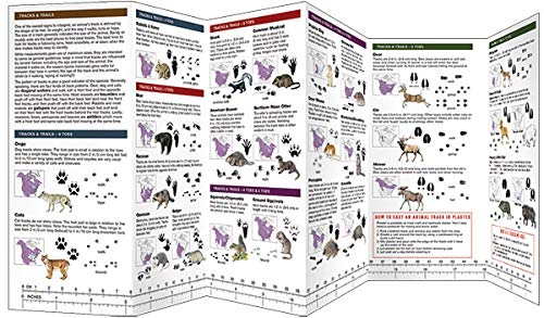 Animal Tracking: A Folding Guide to Animal Tracking & Behavior (Outdoor Recreation and Survival)