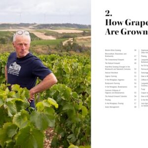 The World of Natural Wine: What It Is, Who Makes It, and Why It Matters