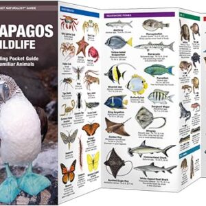 Galapagos Wildlife: A Folding Pocket Guide to Familiar Animals (Nature Observation International)