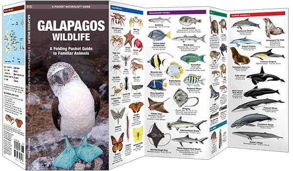 Galapagos Wildlife: A Folding Pocket Guide to Familiar Animals (Nature Observation International)