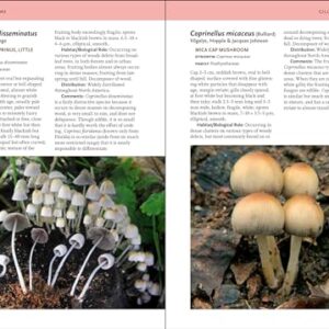 Mushrooms of the Southeast (A Timber Press Field Guide)