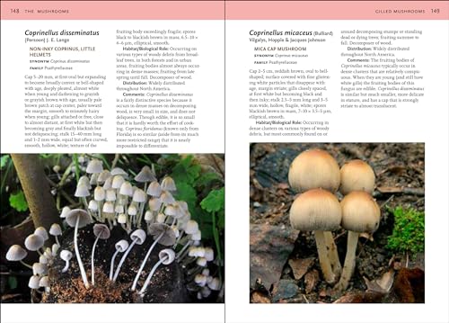 Mushrooms of the Southeast (A Timber Press Field Guide)