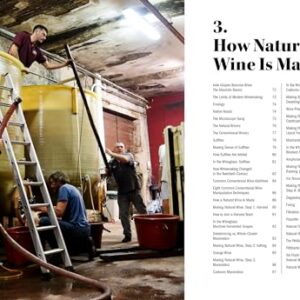 The World of Natural Wine: What It Is, Who Makes It, and Why It Matters