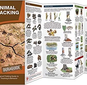 Animal Tracking: A Folding Guide to Animal Tracking & Behavior (Outdoor Recreation and Survival)