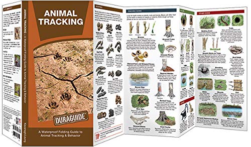 Animal Tracking: A Folding Guide to Animal Tracking & Behavior (Outdoor Recreation and Survival)