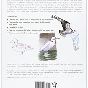 The Laws Guide to Drawing Birds