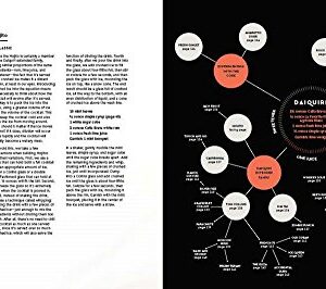 Cocktail Codex: Fundamentals, Formulas, Evolutions [A Cocktail Recipe Book]