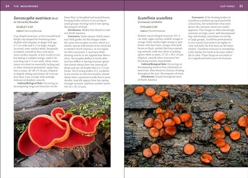 Mushrooms of the Southeast (A Timber Press Field Guide)